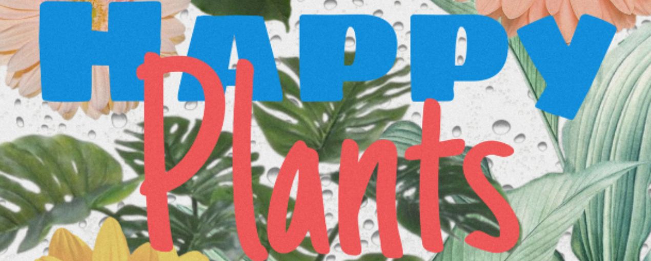 Get healthy Plants with „Happy Plants“ | edit.Magazin